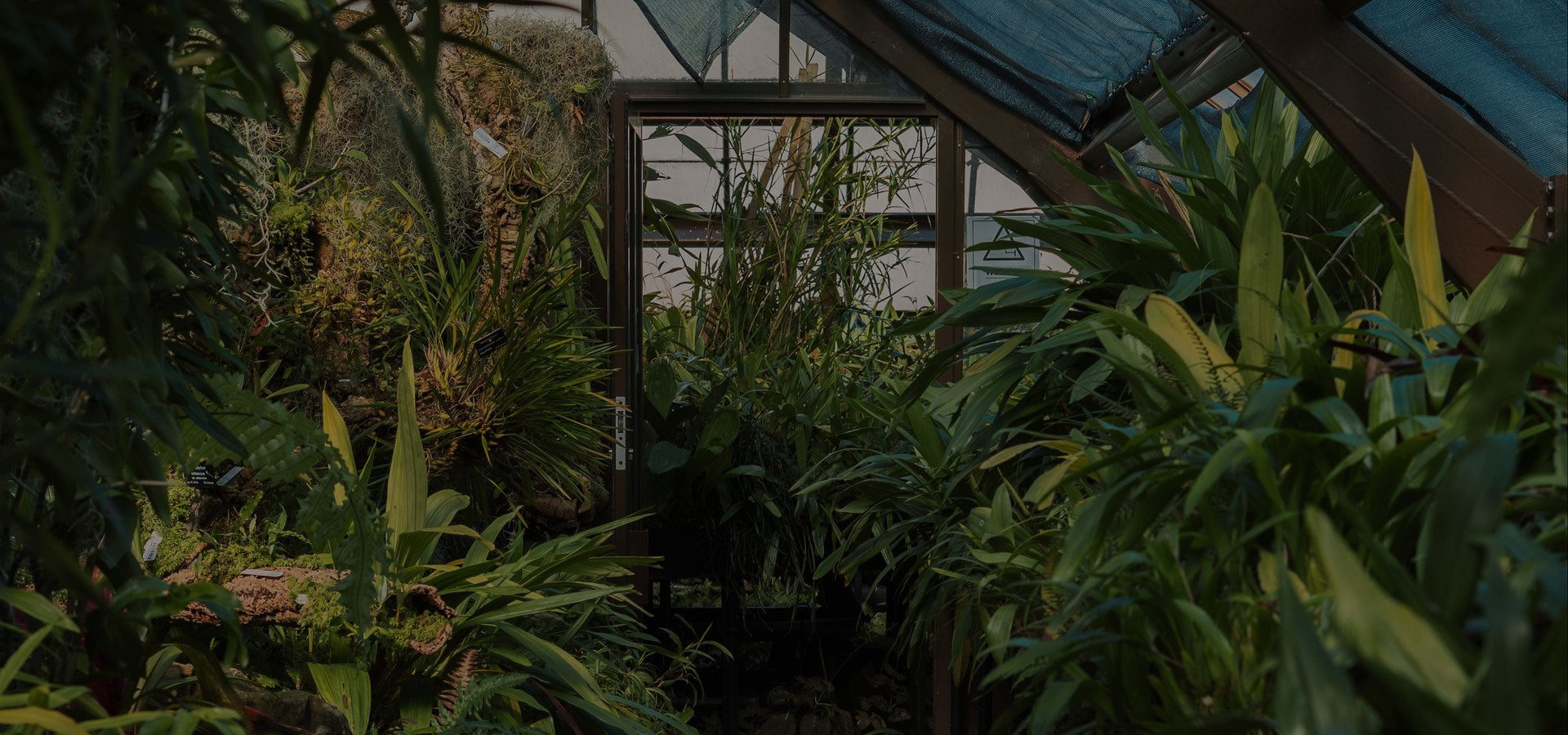 Plantza - Gardening & Houseplants Shopify Theme – Plantza - Gardening ...